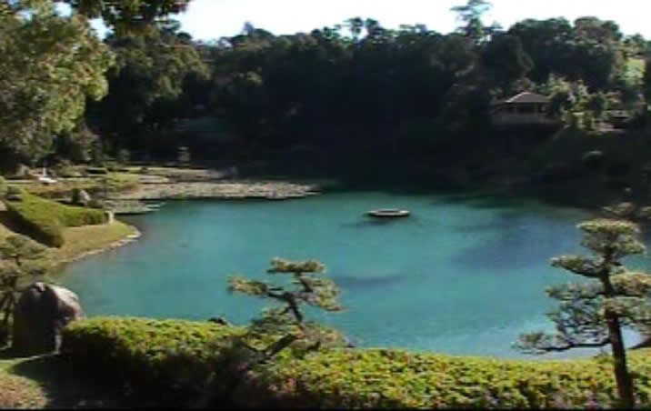 POLY-GLU SOCIAL BUSINESS ポリグル ソーシャル ビジネス